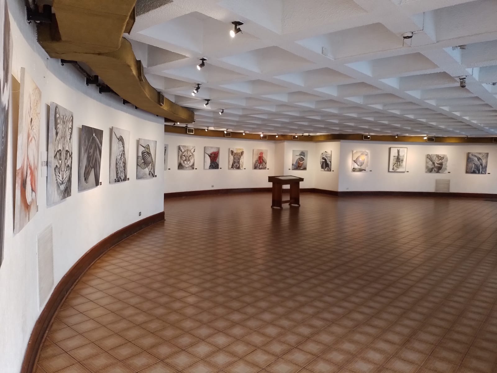 Nueva exposición de pintura muestra la belleza de la fauna en la ...